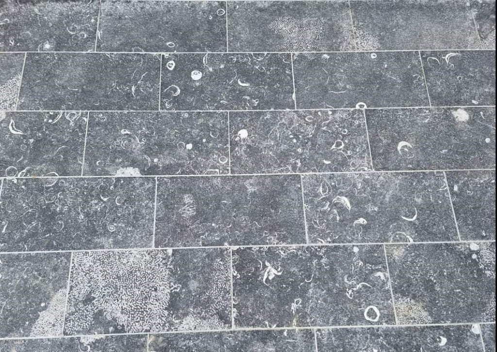 Flamed Coral Kilkenny Limestone Paving