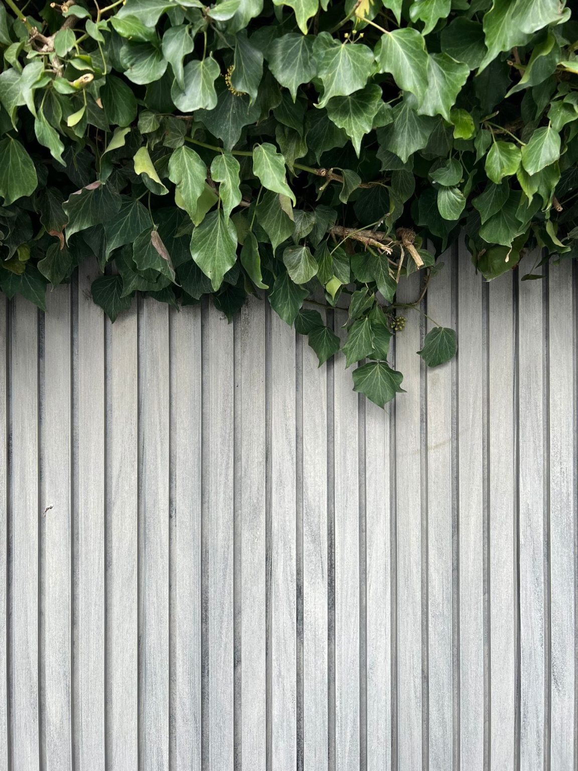 Silver Oak Cladding - Harding Stoneyard Ireland